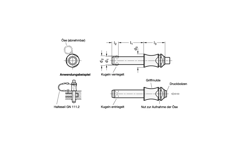 GN113.3-6-50 - GANTER Edelstahl-Kugelsperrbolzen, selbstsichernd