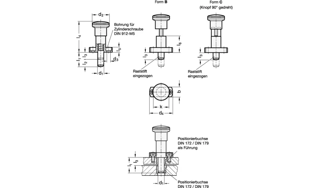 GN817.3-10-24-B - GANTER Rastbolzen ohne Rastsperre