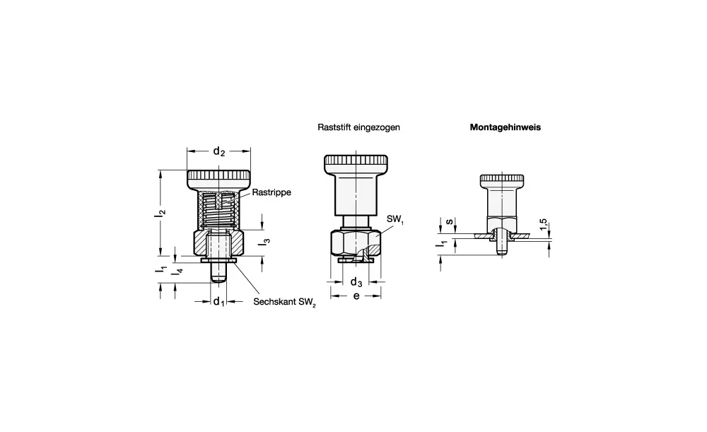 GN607.3-6-8,5-ST - GANTER Rastbolzen - Ludwig Meister
