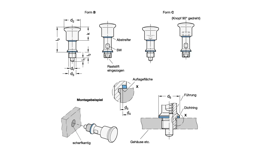 GN8170-6-B-FH-H - GANTER Rastbolzen, Edelstahl, Hygienic Design